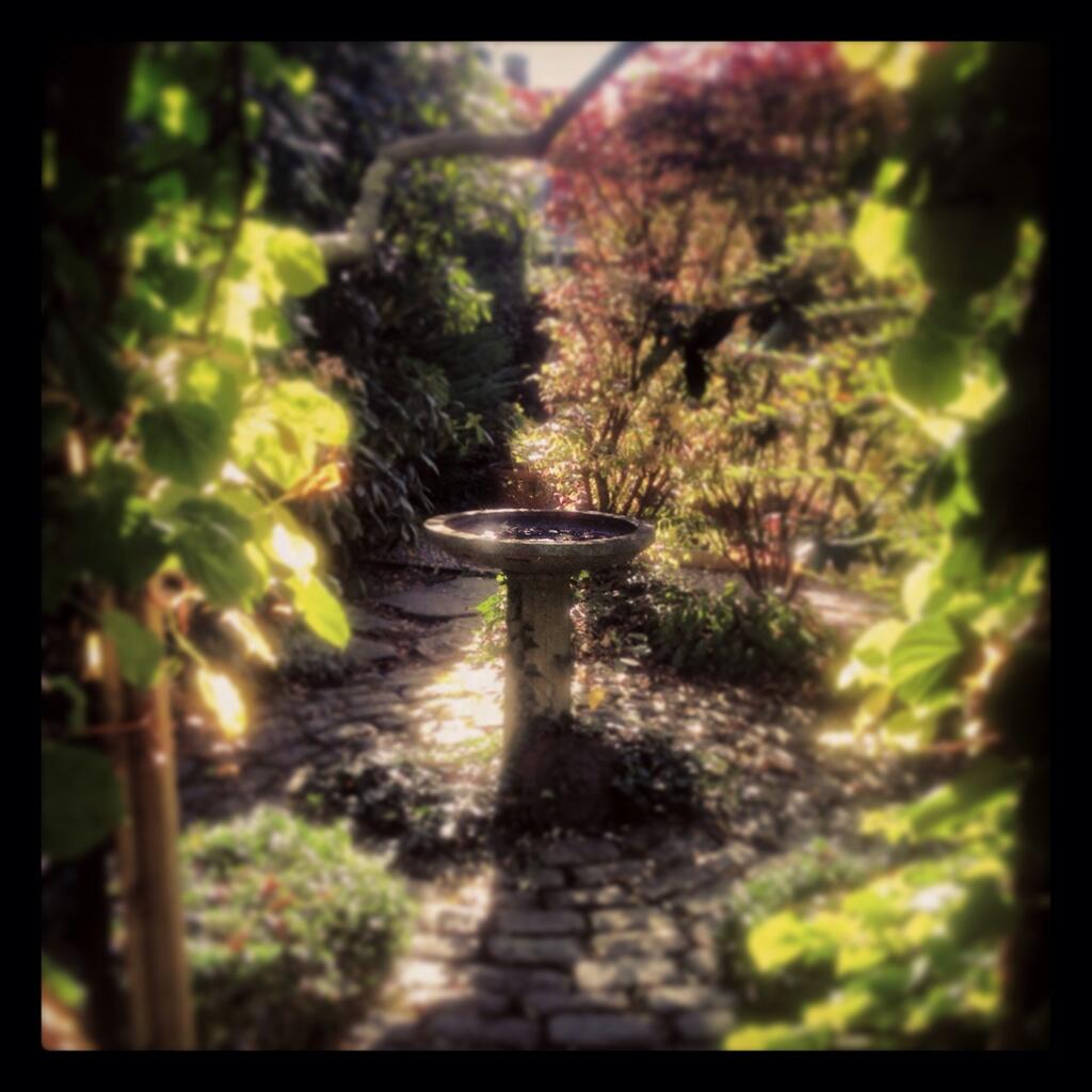 Preservation Photo Contest - Nantucket Preservation Trust